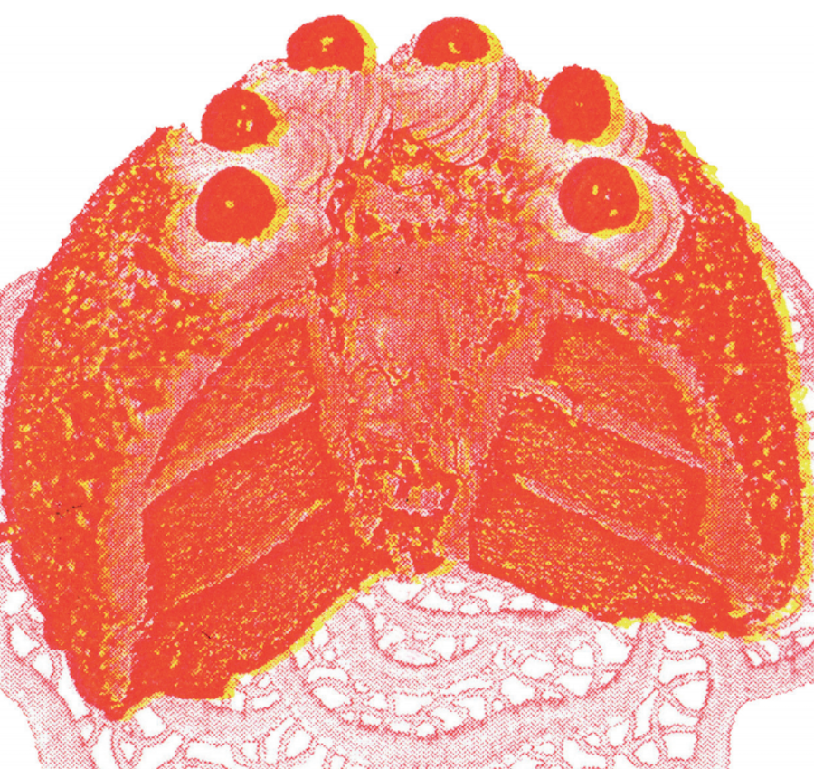 Produktionsbüro Lisa Gehring